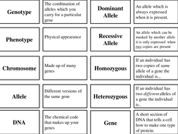 Genetics: keyword card sort / loop cards / dominos | Teaching Resources