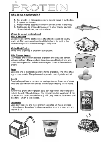 Fit and Healthy 4 protein facts | Teaching Resources