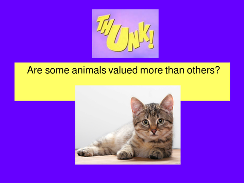 Animal rights questions (Thunks) - starters | Teaching Resources