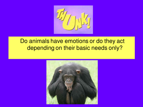 Animal rights questions (Thunks) - starters | Teaching Resources