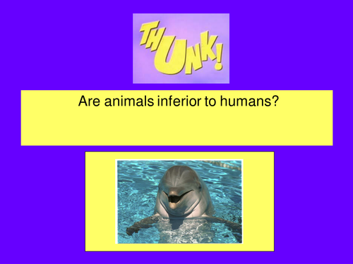 Animal rights questions (Thunks) - starters | Teaching Resources