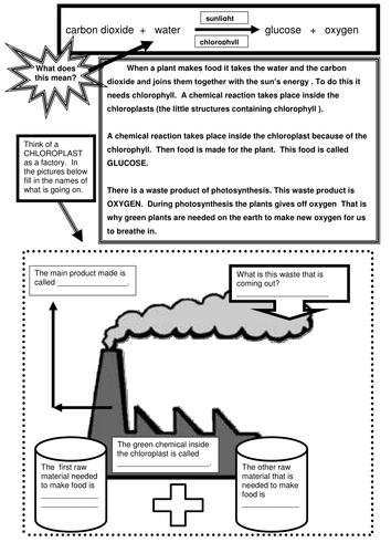 Photosynthesis HOW DO PLANTS MAKE FOOD 2. | Teaching Resources