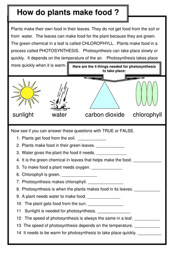 Photosynthesis HOW DO PLANTS MAKE FOOD | Teaching Resources