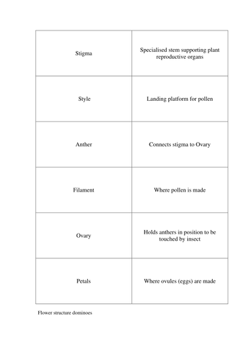 Plants cell structure dominoes | Teaching Resources