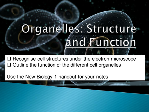 Cell organelles | Teaching Resources