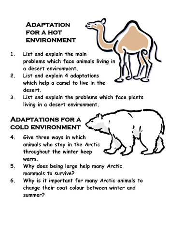 adaptations | Teaching Resources