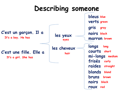 Hair and Eyes Power Point big slide | Teaching Resources