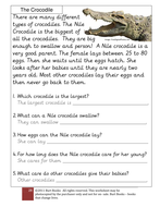 Crocodile fact sheet and comprehension | Teaching Resources