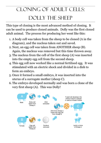 Type of Cloning | Teaching Resources