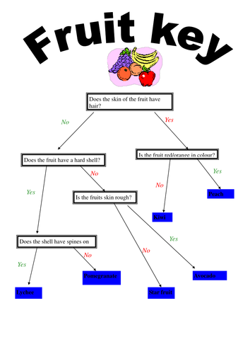 Year 7 science induction lesson | Teaching Resources