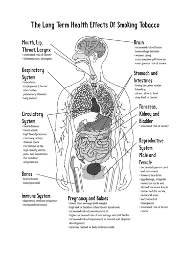Long term effects of smoking | Teaching Resources