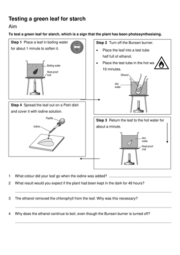 Starch test | Teaching Resources