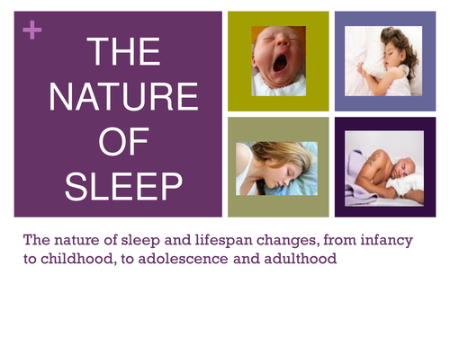 Power point on the nature of sleep | Teaching Resources