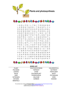 Photosynthesis wordsearch | Teaching Resources