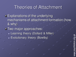 Attachment Theories | Teaching Resources