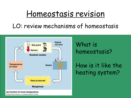Homeostasis revision | Teaching Resources