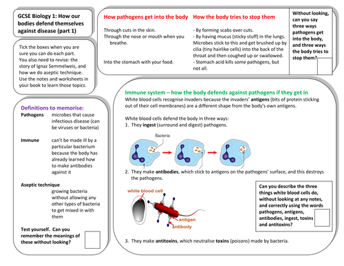 AQA B1 - Defence Against Disease revision notes | Teaching Resources