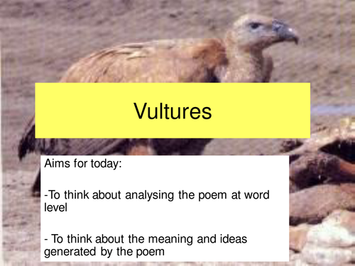 2 full lessons on the poem- Vultures | Teaching Resources