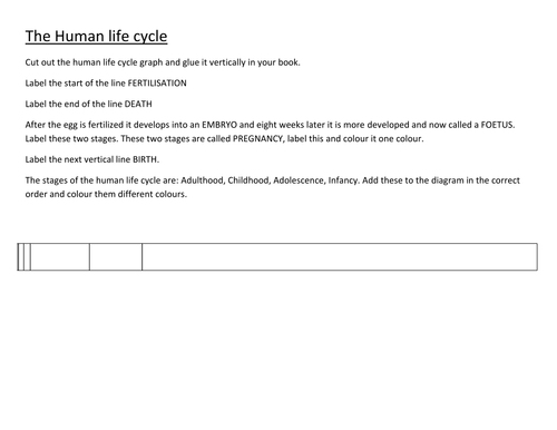 7B Human life cycle worksheet | Teaching Resources