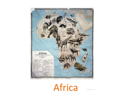 African Animals | Teaching Resources