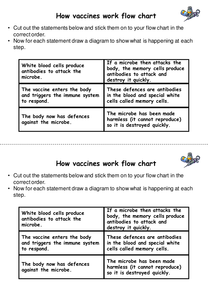 Vaccination flow chart by cathb1975 - UK Teaching Resources - TES