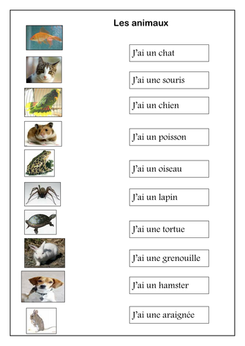 Les animaux / animals in French worksheet | Teaching Resources
