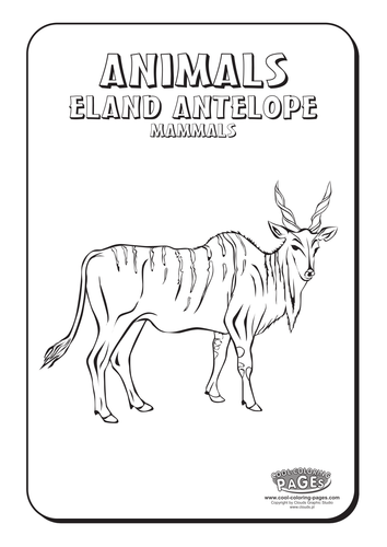 Cool Colouring Pages: Antelope | Teaching Resources