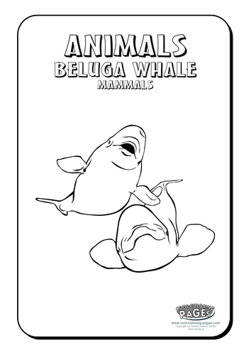 Cool Colouring Pages: Beluga Whale | Teaching Resources
