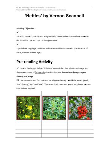 'Nettles' by Vernon Scannell - Teaching Resources | Teaching Resources