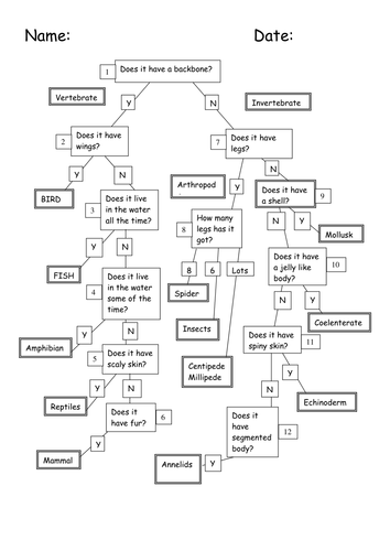 Identification Key of a Variety of Organisms | Teaching Resources