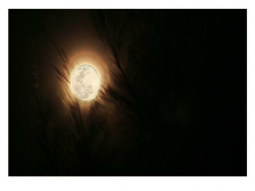 Exploring Modern Texts Section A | Teaching Resources