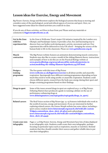 Lesson Ideas for Exercise, Energy & Movement | Teaching Resources