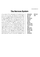 Nervous System | Teaching Resources
