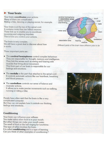 Nervous System | Teaching Resources