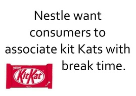 Point Evidence Explain Posters | Teaching Resources