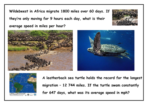 Calculating Speed Cards | Teaching Resources