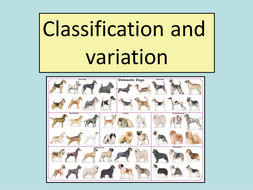 7D classification unit for SEN | Teaching Resources