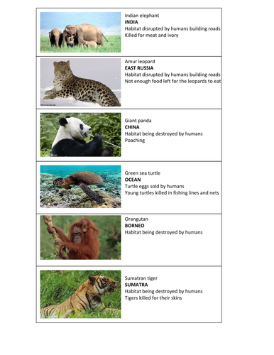 Endangered species | Teaching Resources