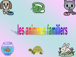 Pets Presentation and Worksheet - French | Teaching Resources