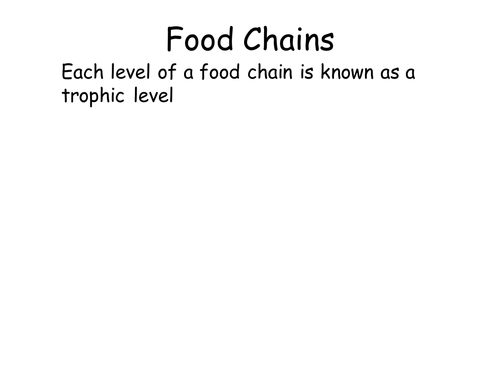 Food Chain and Food Web | Teaching Resources