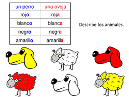 Revision of adjectival agreement | Teaching Resources