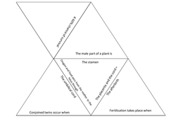 Reproduction revision puzzle | Teaching Resources