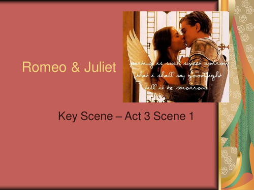 Romeo & Juliet: Death of Mercutio: Lesson Plan | Teaching Resources