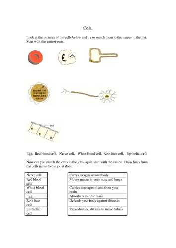 A selection of cells resources | Teaching Resources