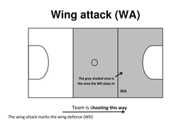 Netball playing position cards by jodz28 - Teaching Resources - Tes