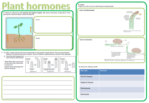 IGCSE plant hormones revision | Teaching Resources