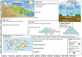 IGCSE Nutrient cycles learning mat | Teaching Resources