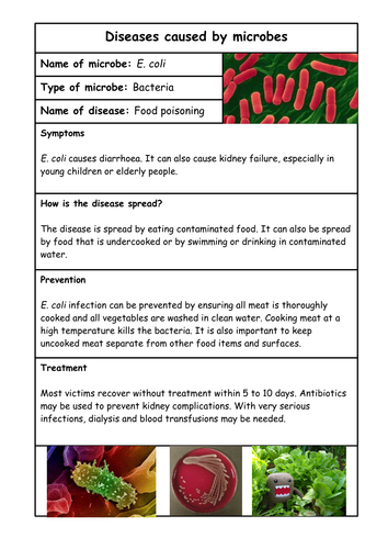 Microbes Disease Marketplace | Teaching Resources