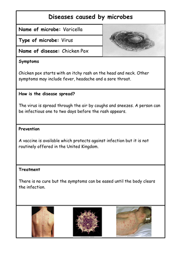 Microbes Disease Marketplace | Teaching Resources