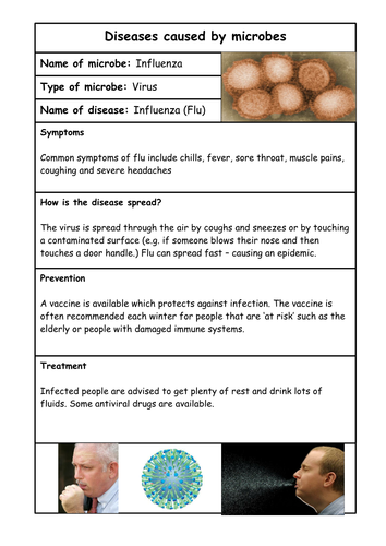 Microbes Disease Marketplace | Teaching Resources